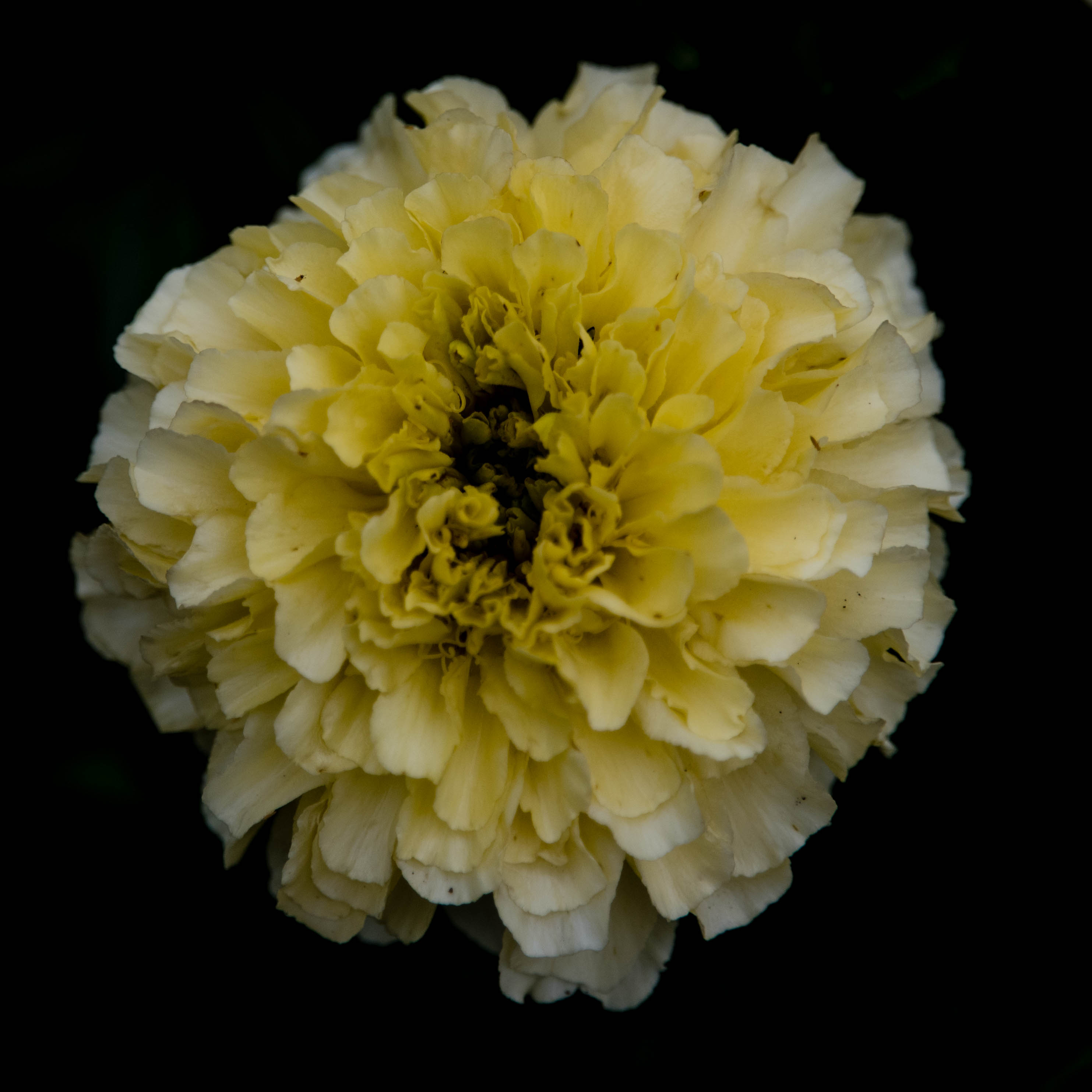 Matthaei Botanical Gardens | --- LIFE IS A MELTING POT --- Grace Grogan ...